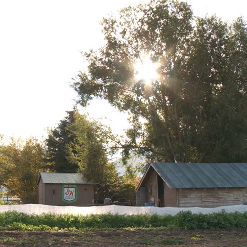 First Frost Farm | Taste Utah